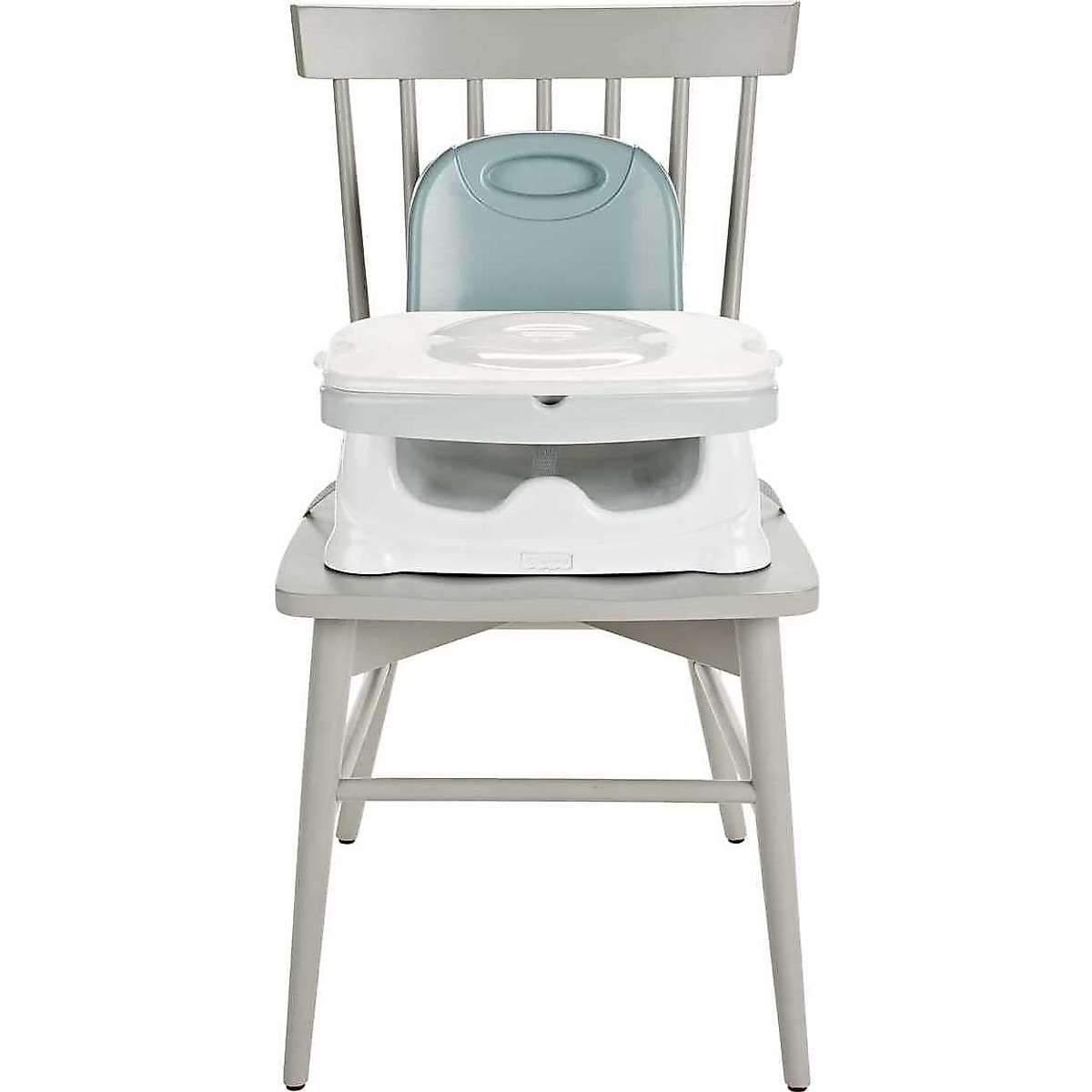 Fisher-Price Healthy Care Deluxe Booster Seat