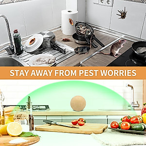 Pest Repellent Balls - Repel Rodent with Peppermint, High-Strength Mice, Mouse, and Rat Repellent - Effectively Deters Spiders, Roaches, Ants, Moths & Pests - 10 Balls