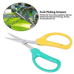 Plant Trimming Scissors, Stainless Steel Fruits Grape Pruning Shears Gardening Scissor for Bonsai Fruit Pruning