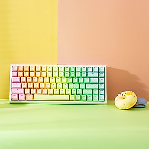 YUNZII Rainbow 84 84-Key RGB Hotswap Wired Mechanical Gaming Keyboard with PBT Shine Through Keycaps for Mac/Win/Gamers (Gateron Brown Switch, Rainbow)