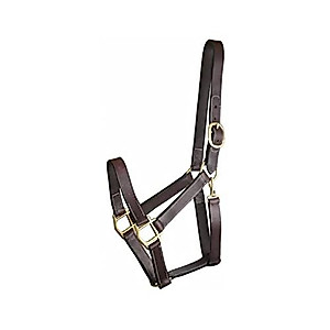 Gatsby Track Style Turnout Halter/Snap Horse