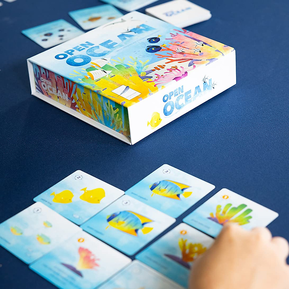 Open Ocean Card Game | Family Friendly Drafting + Tile Placement Game | Enjoyed by Kids, Teens, and Adults | Ideal for 1-5 Players | 8+