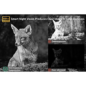 Meidase Trail Camera, 48MP 1440p, Clear 100ft Night Vision Motion Activated, Hunting Game Camera with Fast 0.1s Trigger Speed, IP66 Waterproof