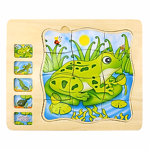 Wooden Puzzles for Kids Age 4-8, 5 Layers Life Cycle of a Frog Montessori Jigsaw Puzzle for Kids, Children Preschool Learning Educational Puzzles Toys for Boys and Girls