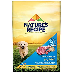Nature′s Recipe Dry Puppy Food, Lamb & Rice Recipe, 12 lb. Bag