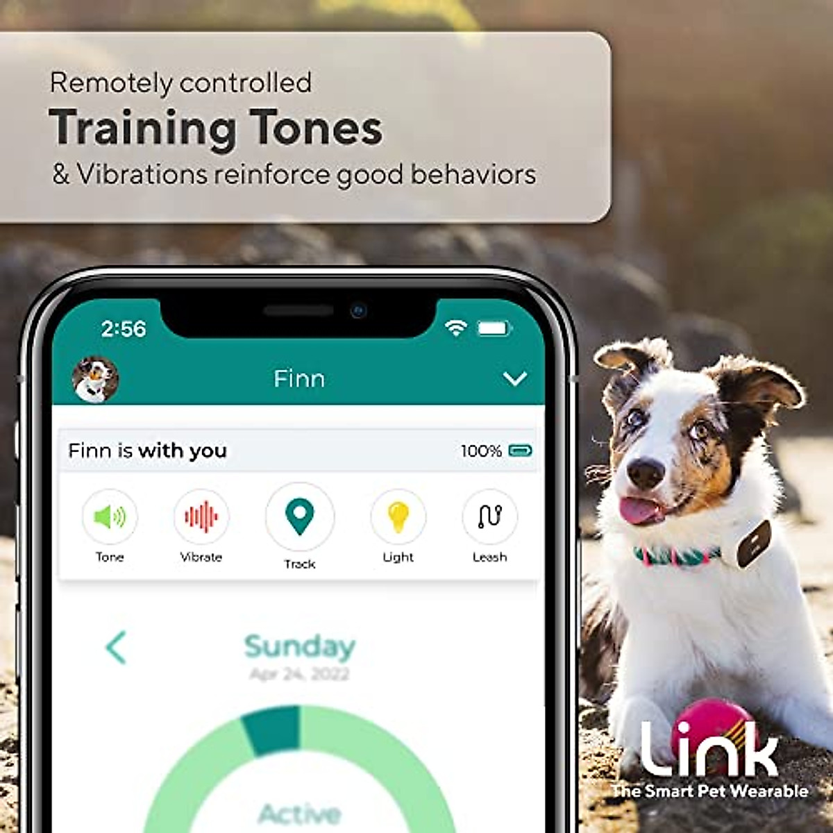 Link GPS Dog Tracker + Activity Monitor | Training Tools, Health Tracker, Waterproof, Flashlight, Lightweight, PetPass & Vet Record Storage, Fits On Most Collars | iPhone & Android Apps