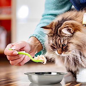 4 Pcs Stainless Steel Cat Bowls,7.1 Inches Metal Cat Bowl, Cat Food Bowls for Indoor Cats, Whisker Fatigue Cat Bowl, Shallow Cat Food Dish, Kitten Food Bowl, Elevated Food Bowls for Cats