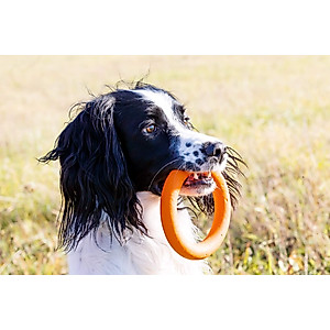 PlayfulSpirit Durable Natural Rubber Ring - Great Tug of War Dog Toy, Fun for Throw, Chase and Fetch Games, Exercise and Dog Training Toy for Medium to Large Breed Puppies and Adult Dogs (L, Orange)