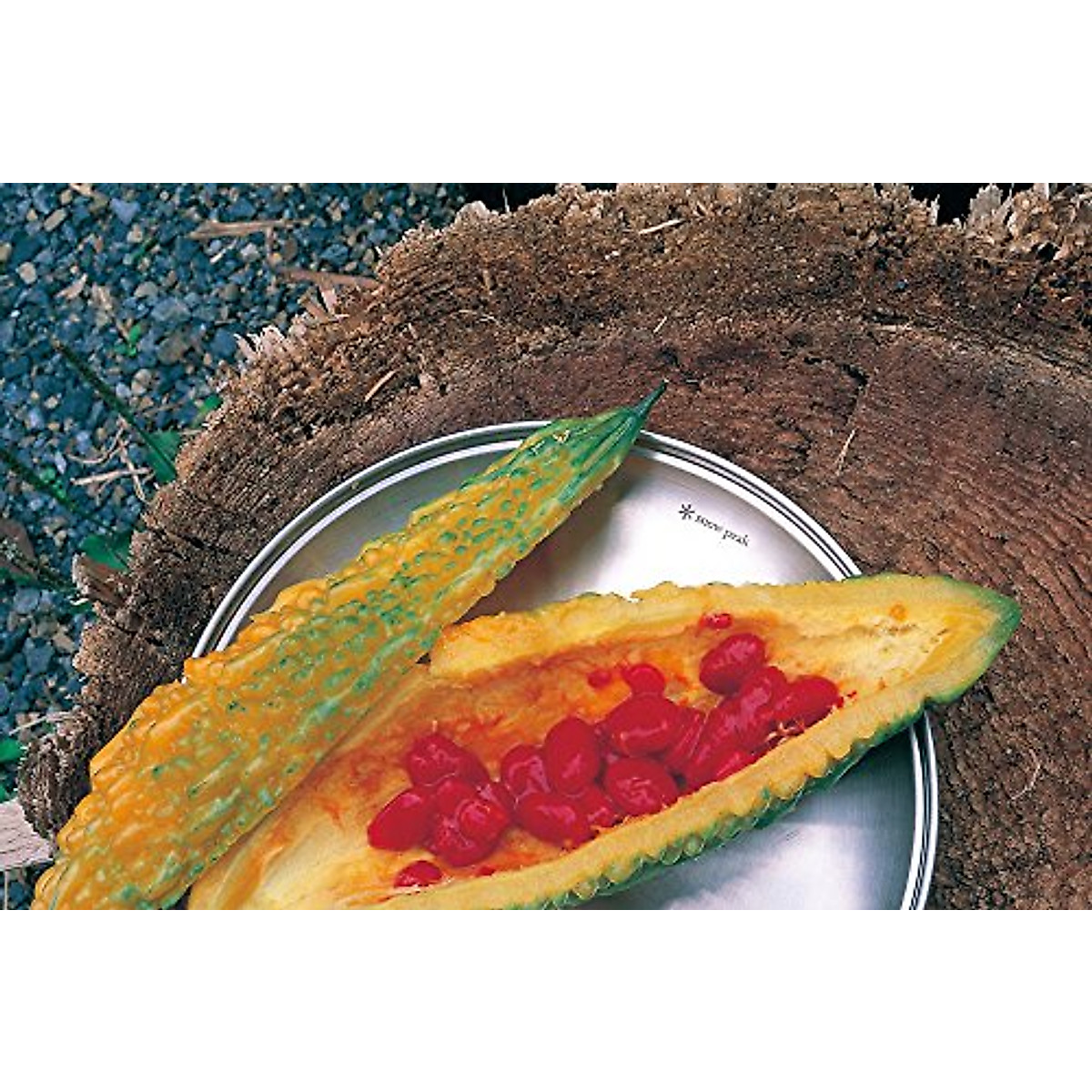 Snow Peak Tableware Plate, TW-034, Stainless Steel, Lightweight for Camping Everyday Use, Made in Japan, Lifetime Product Guarantee