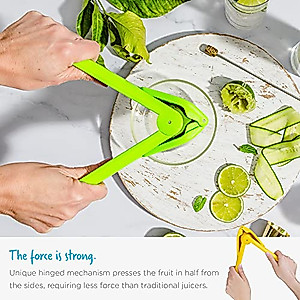 Dreamfarm Lime Fluicer | Easy Squeeze Manual Lime Juicer | Citrus Juicer That Folds Flat for Space-Saving Storage | Lime Squeezer with Pivot to Increase Leverage