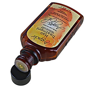 AGADIR Argan Oil Hair Treatment, 4 Fl Oz (Pack of 1)