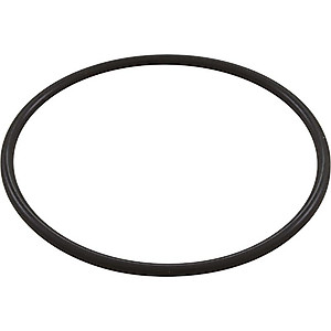 Waterway Plastics 806105129826 6" Trap Lid O-Ring