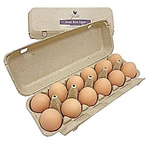 Nest Box Queen Ceramic Chicken Nest Eggs for Nest Box Training - 1 Dozen (Brown)