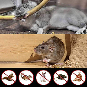 Glaobule Rodent Repellent Ultrasonic Electronic Battery Operated Pest Mouse Squirrel Repellent Ultrasonic Mice Rat Rodents Repeller with LED Strobe Lights for Indoor Use