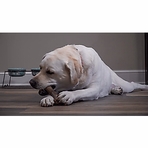 Hero | Bonetics Femur Bone | Dog Bones | Puppy Bones | Designed for Extra Large Dogs Up to 75 lbs (Bacon Flavor)