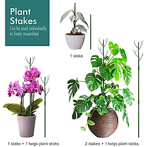 Fetanten Monstera Plant Support, 43 Inch Plant Support Stakes Moss Pole for Indoor Plants with Orchid Clips Twist Ties and Plant Strap, Perfect Plant Stakes for Climbing Plant (6 Pack)