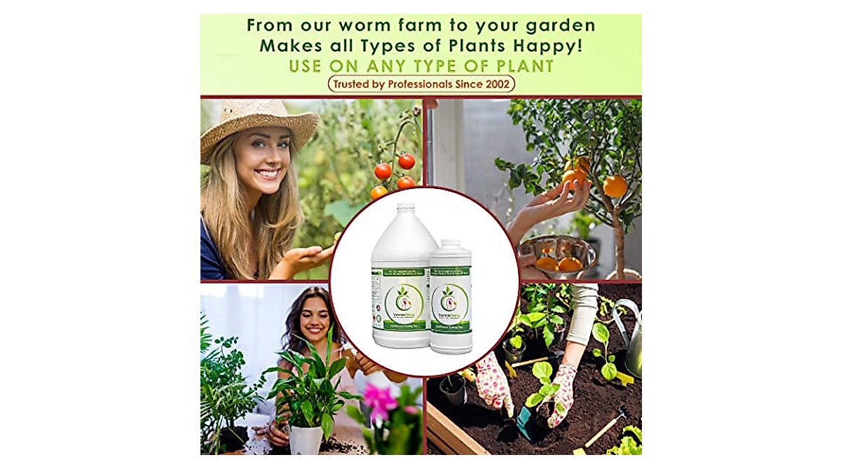 VermisTerra Earthworm Casting Tea - Organic Worm Tea - Gallon - Soil ...
