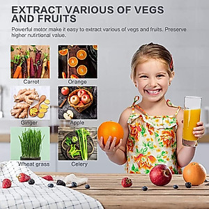 Slow Juicer, Aobosi Slow Masticating Juicer, Cold Press Juicer Machines with Reverse Function, Quiet Motor, High Juice Yield with Juice Jug & Brush for Cleaning