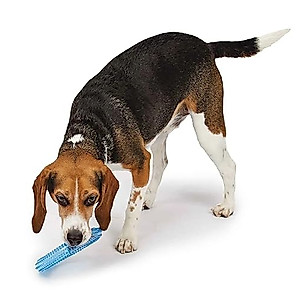 MPP Dog Toy Treat Hiding Ring Toss Fetch Chew Gum Massaging Nub Ridges Dental Health (Blue 4 Rings)
