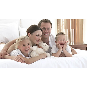 Twin XL 100% Micro Fiber White 3 PC Sheet Set - Soft & Comfy - Twin Extra Long, 15" Deep Pocket, 39" x 80" Great for Dorm Room, Hospital and Split King Dual Adjustable Beds (TXL, White)