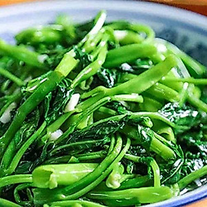 500+ Kangkong Seeds - Rau Muong- Kong Xin CAI- Ong Choy Seeds for Planting- Vegetable Seeds for Yard & Garden Made in USA | Non-GMO | Heirloom | Organic | 95% Germination Rate