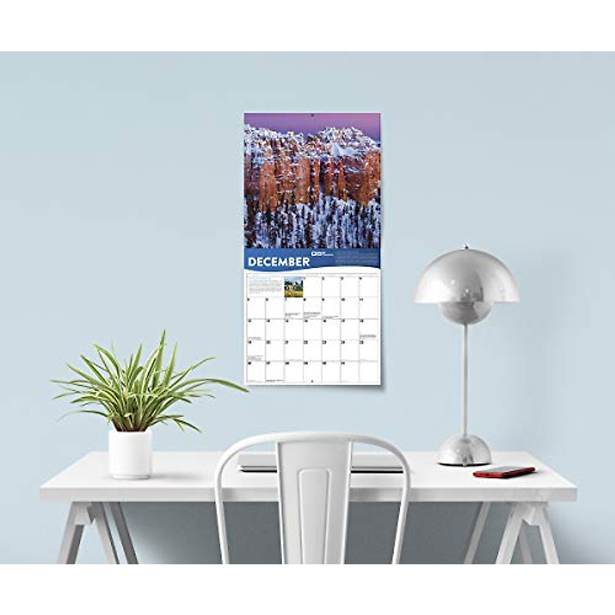 2021 National Park Foundation Wall Calendar: A 12-Month Nature Calendar & Photography Collection (Monthly Calendar)