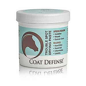 COAT DEFENSE Trouble Spot Drying Paste for Horses - Natural Equine Wound Care That Provides Safe & Effective Relief from Scratches, Sweet Itch, Summer Sores, Proud Flesh, Mud Fever, Girth Rot (10 Oz)