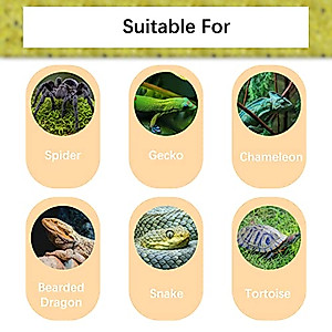 BNOSDM Reptile Hides Large Rock Aquarium Habitat Decor Rock Terrarium Habitat Decor Ornament Shelter for Snake Geckos Lizards Bearded Dragon Turtle Frogs Spiders Amphibians