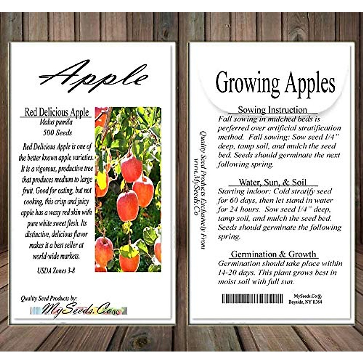 Big Pack - (500) Red Delicious Apple - Malus pumila Tree Seeds - Very Cold Hardy in Zones 3-8 by MySeeds.Co (Big Pack - Paradise Apple)