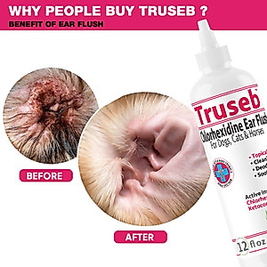 All Natural Ear Flush for Dogs & Cats, Ketoconazole & Chlorhexidine Ear Flush and Vet-Strength Ear wash with a Light Scent (USA) (Ketoconazole & Chlorhexidine Ear Flush, 12 oz)