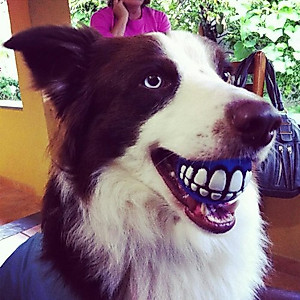 Rogz Fun Dog Treat Ball in various sizes and colors, Small, Pink