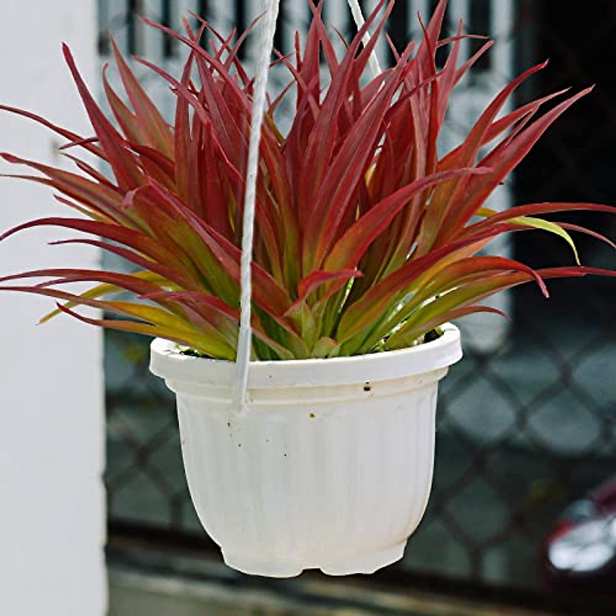 Phliofd 6Pcs Artificial Grass Fake Plants 17.3in Outdoor Plants UV Resistant Greenery Stems Fake Grass for Home Window Garden Office Patio Pathway Front Porch Christmas Décor Light Green & Red