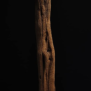 A'ddict Solid Perfume - Sandalwood 201, Woody & Leafy Scent for Men and Women, 1.01 fl.oz / 30ml, Alcohol-Free, Perfect for Travel