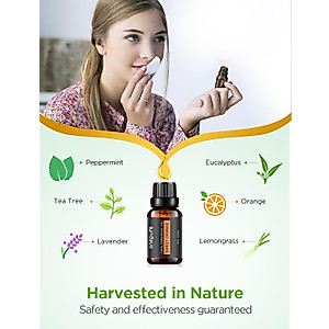 InnoGear Essential Oil Diffuser with Oils, 100ml Aromatherapy Diffuser with 6 Essential Oils Set, Aroma Cool Mist Humidifier Gift Set, Dark Wood Grain