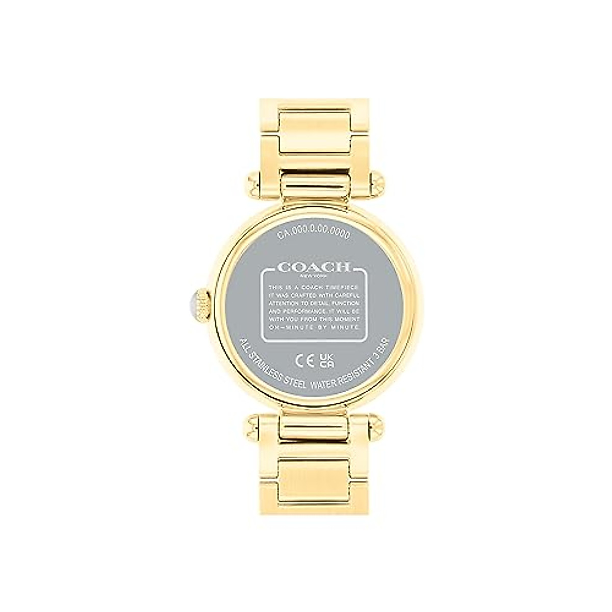 Coach Cary Women's Watch | Premium Fashion Timepiece for Her - Perfect for Day and Night | Water Resistant (Model 14504183)
