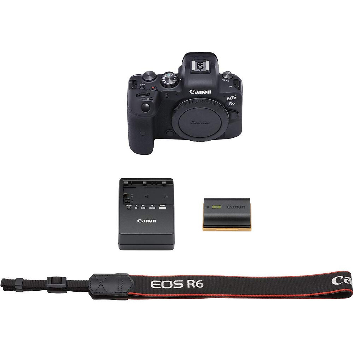 Canon EOS R6 Mirrorless Digital Camera (Body Only) (4082C002), Canon RF 24-70mm Lens, 64GB Memory Card, Case, Corel Photo Software, LPE6 Battery, External Charger, Card Reader + More (Renewed)