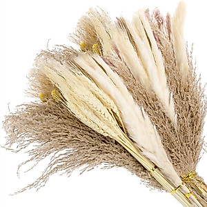 DEAYOU 65 PCS Natural Dried Pampas Grass, 17" Tall Dry Pampas Grass Branches for Boho Decor, Fluffy Pompous Reed Plants Stems Bundle for Flower Arrangements, Home Wedding Decor, 5 Styles