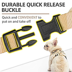 PUPTECK Soft Mesh Dog Harness and Leash Set Pet Puppy Cat Comfort Padded Vest No Pull Harnesses, Beige, S