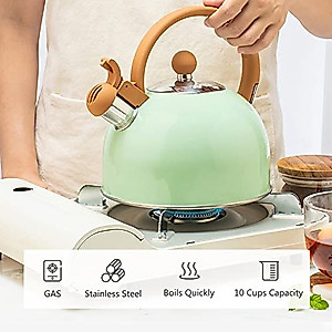 SHSYCER Tea Kettle, 2.6 Quart /2.5 Liter Stainless Steel Tea Pot, Food Grade Stovetops Tea pot Loud Whistling for Tea, Coffee, Milk etc, Gas Electric Applicable-Light Green