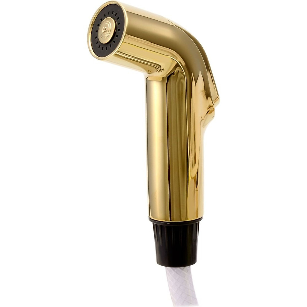 Delta Faucet RP39345PB Spray and Hose Assembly, Polished Brass
