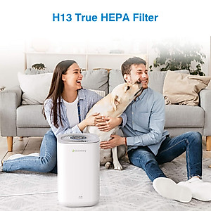 Storebary Air Purifier Replacement, C350-RF True HEPA High-Efficiency Activated Carbon Air Filter Fits for C350 (4 Pack)