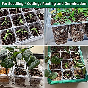 IWNTWY 10 Packs Seed Starter Tray, Seed Starter Kit with Humidity Dome and Base, Plant Starting Kit Mini Greenhouse Germination Kit for Indoors Seeds Sprout Growing Starting, 12 Cells Per Tray