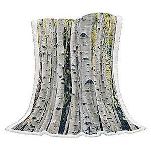Plush Sherpa Fleece Throw Blanket Birch Trees Mottled Trunk Wilt Twigs Leaves Deciduous Woodland Warm Cozy Blanket,Soft Fuzzy Reversible Lightweight Blanket for Couch,Sofa and Bed 50x60 inch