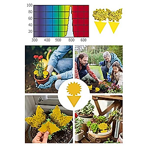 LOV HOME Mosquito Repellent Coils 100% Citronella with Bonus 1 Sticky Catcher, Two Pack Contains 16 coils & 4 Stands