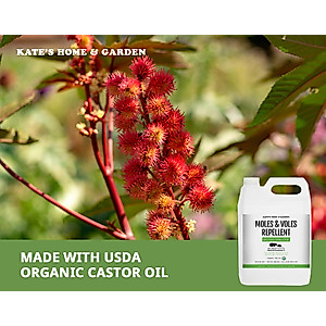Mole & Vole Repellent for Lawns - Organic Castor Oil (128oz - 1 Gallon) - Kate's Home & Garden. Pet Safe & Non-Toxic. Pure Organic Castor Oil to Repel Moles, Voles, Rodents & Gophers Outdoor