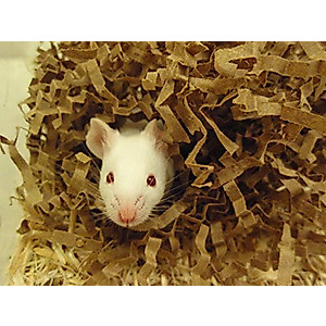 ECO Bedding Fibercore, 1.5 lb Brown