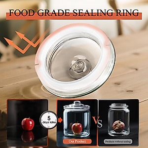 Airtight Glass Jar,Cookie Candy Penny Jar with Leak Proof Rubber Gasket Lid,1 Gallon Clear Round Big Household Multifunctional Storage Container with Silicone Reusable Food Bag for Cookies, Candies