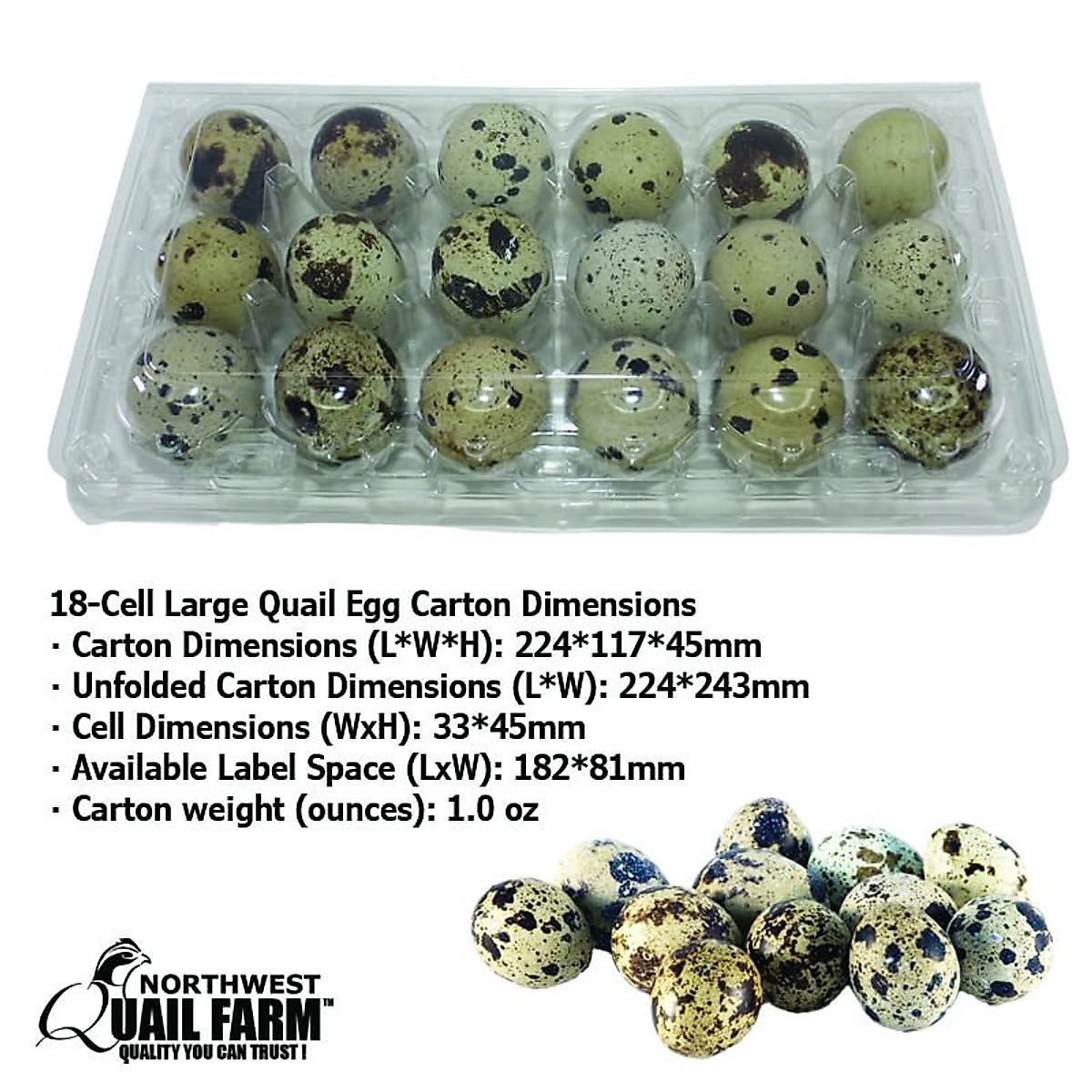 NWQuailFarm JUMBO Quail Eggs Cartons – 25/50/100 Pack - Holds 18 (3x6) Larger Quail Egg - Designed to hold Coturnix Jumbo Quail Eggs (50 Pack)