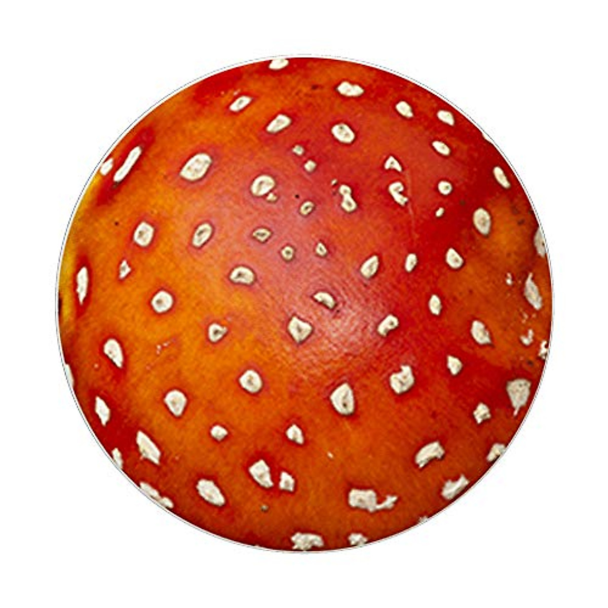 MUSHROOM STYLE POPSOCKET PopSockets PopGrip: Swappable Grip for Phones & Tablets