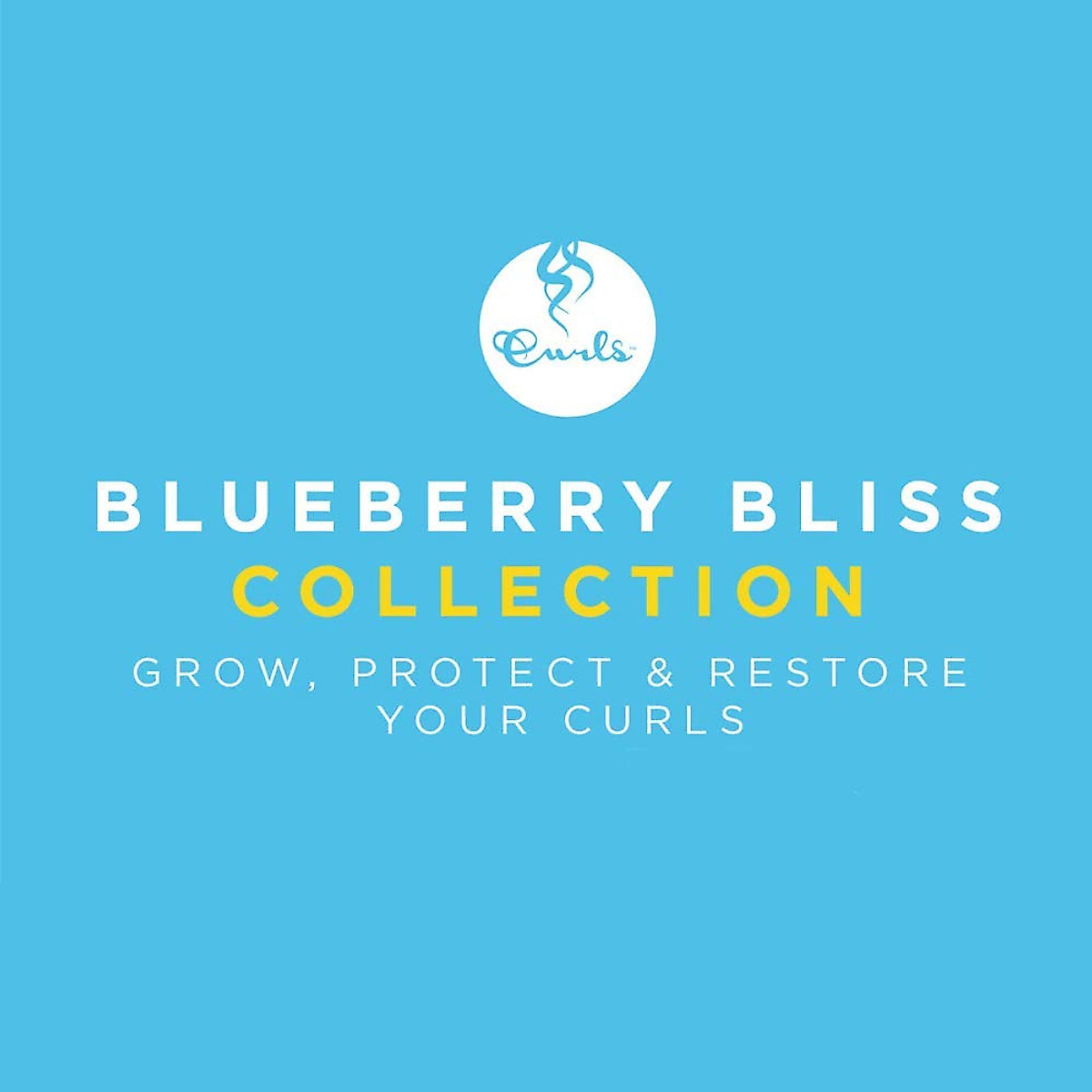 Curls Blueberry Bliss Reparative Hair Wash, 8 Ounces and Reparative Leave In Conditioner, 8 Ounces